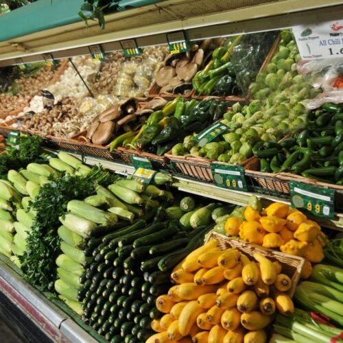 Blog Archives - La Galera Produce